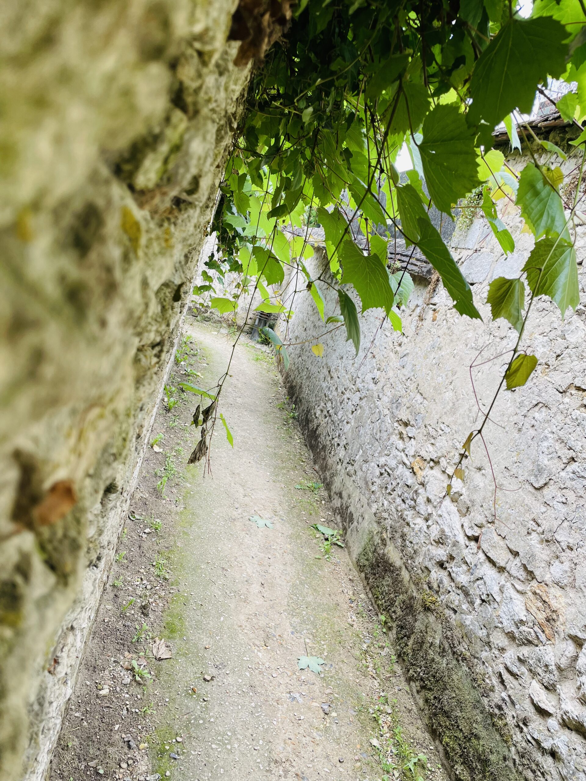 Tourisme - Ville d’Avon